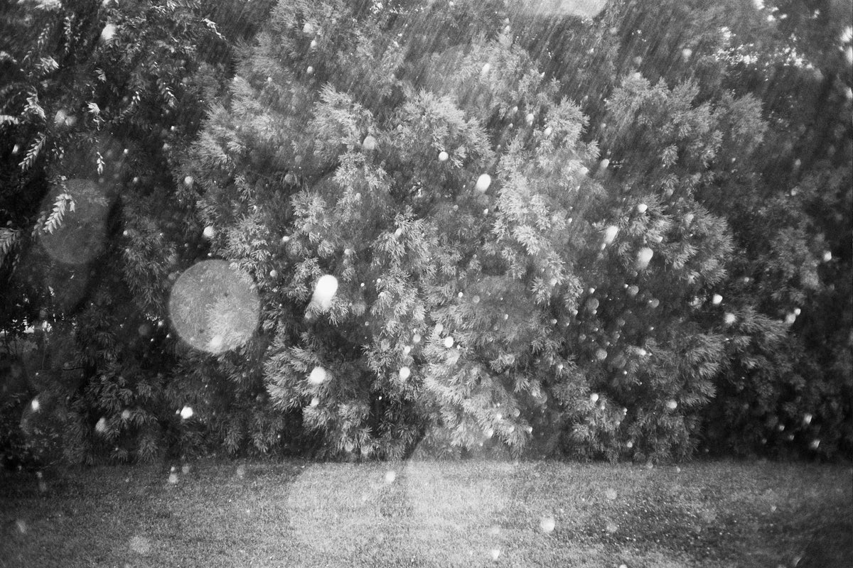 Member Moment: Jake Romm