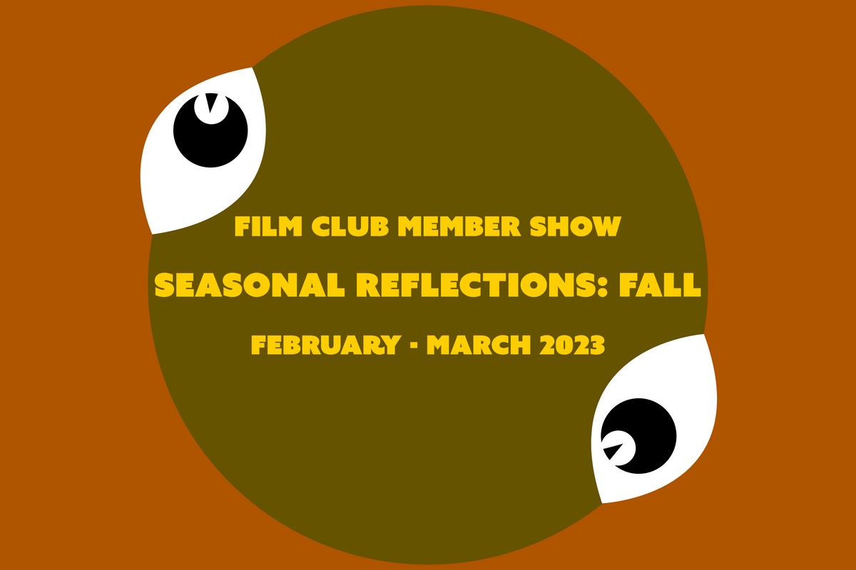 Seasonal Reflections: Fall