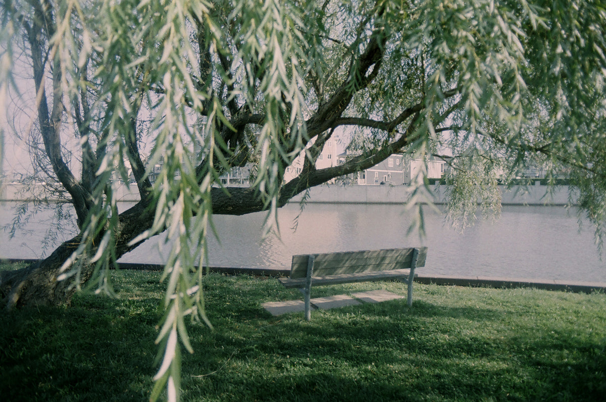 Member Moment: Mitch Larson