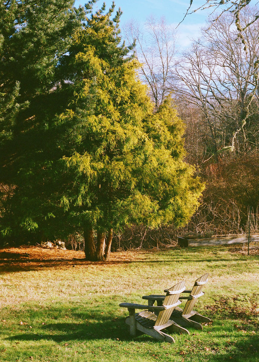 Member Moment: Sam Gregg