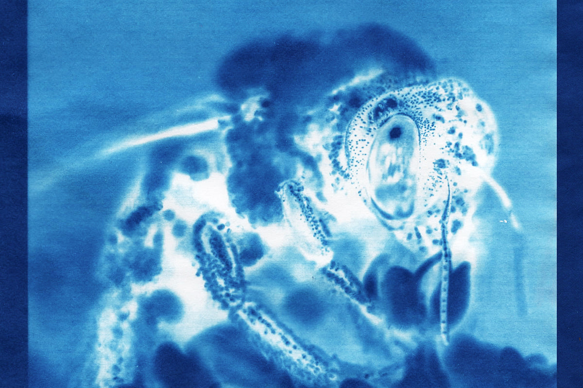 Member Moment: Conner White